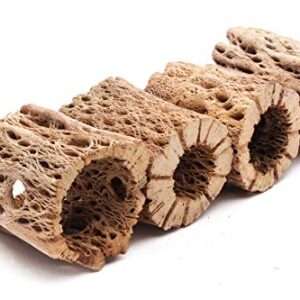 3, 6, 9, 12 Inch All Natural Teddy Bear Cholla Wood Extra Hollow Untreated Organic Aquarium Driftwood Decoration Chew Toy Shrimp Crab Pleco Cichlid Nano Tank Birds 1 or 5 Pieces (1 Piece, 3 inch)