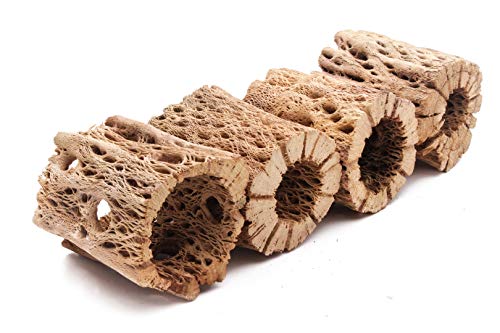 3, 6, 9, 12 Inch All Natural Teddy Bear Cholla Wood Extra Hollow Untreated Organic Aquarium Driftwood Decoration Chew Toy Shrimp Crab Pleco Cichlid Nano Tank Birds 1 or 5 Pieces (1 Piece, 3 inch)