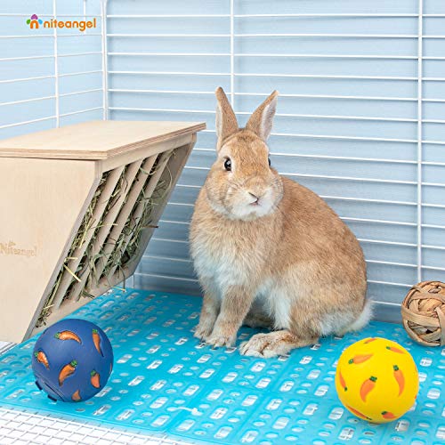 Niteangel 2 Pieces Rabbit Playpen Feet Mats for Cage, Comes with 4 Fixed Tabs (Blue)