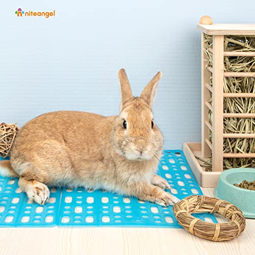 Niteangel 2 Pieces Rabbit Playpen Feet Mats for Cage, Comes with 4 Fixed Tabs (Blue)