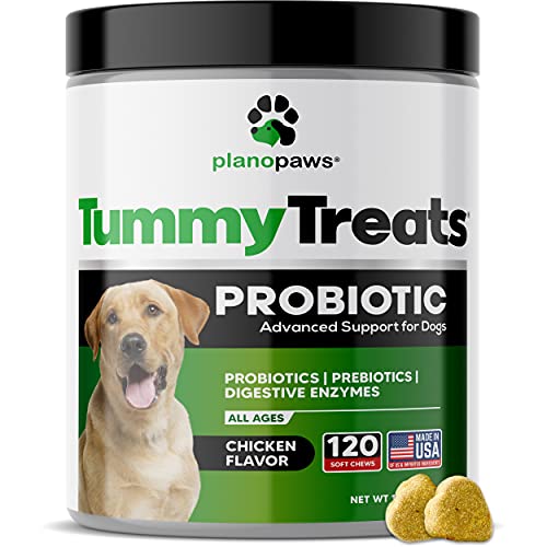 Probiotics for Dogs Digestive Health - Dog Probiotics and Digestive Enzymes - Allergy Relief for Dogs - Probiotic for Dogs Gut Health - Puppy Probiotic Tummy Treats - 120 Dog Probiotic Chews