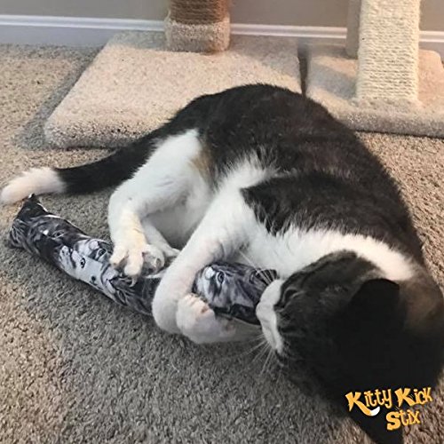 Kitty Kick Stix 15" Original Catnip Kicker Toy (Set of 2), Made in USA (Mystery)