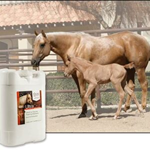 UltraCruz Equine Foaming Horse Shampoo, 5 Gallon Refill