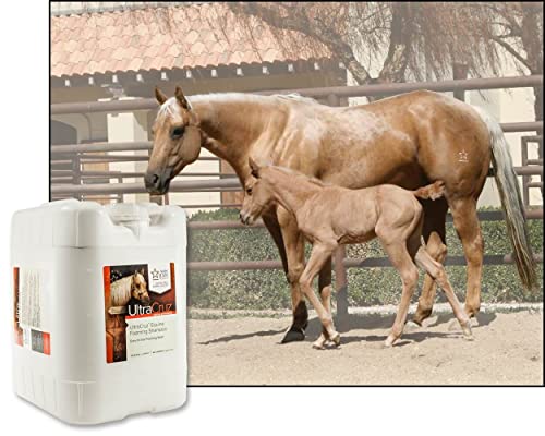 UltraCruz Equine Foaming Horse Shampoo, 5 Gallon Refill