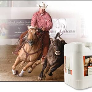 UltraCruz Equine Foaming Horse Shampoo, 5 Gallon Refill