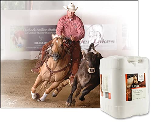 UltraCruz Equine Foaming Horse Shampoo, 5 Gallon Refill