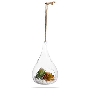 5-Pack Hanging Glass Terrarium Containers for Air Plants, Succulent Planter Vase Hangers for Home Decoration, Teardrop Tealight Ornaments, Candle Holder, Unique Decor, Centerpiece (3x5.5 in)