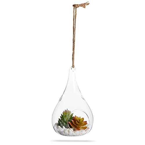 5-Pack Hanging Glass Terrarium Containers for Air Plants, Succulent Planter Vase Hangers for Home Decoration, Teardrop Tealight Ornaments, Candle Holder, Unique Decor, Centerpiece (3x5.5 in)