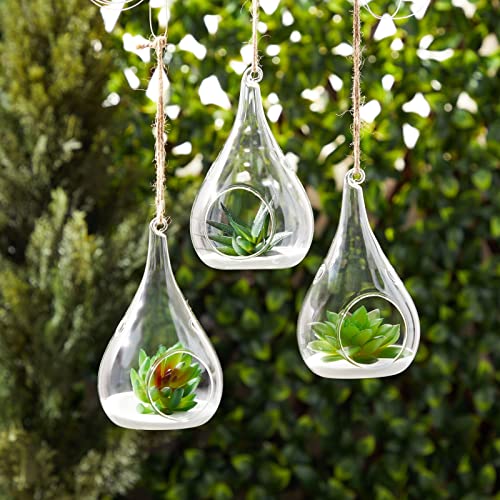 5-Pack Hanging Glass Terrarium Containers for Air Plants, Succulent Planter Vase Hangers for Home Decoration, Teardrop Tealight Ornaments, Candle Holder, Unique Decor, Centerpiece (3x5.5 in)