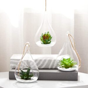 5-Pack Hanging Glass Terrarium Containers for Air Plants, Succulent Planter Vase Hangers for Home Decoration, Teardrop Tealight Ornaments, Candle Holder, Unique Decor, Centerpiece (3x5.5 in)