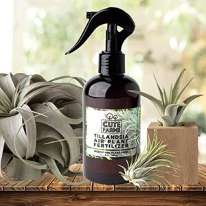 Cute Farms Tillandsia Air Plant Fertilizer | Gentle Weekly Use Formula Plant Food with Care Guide | Formulated Nutrients for Air Plants (8 oz. Spray Bottle)