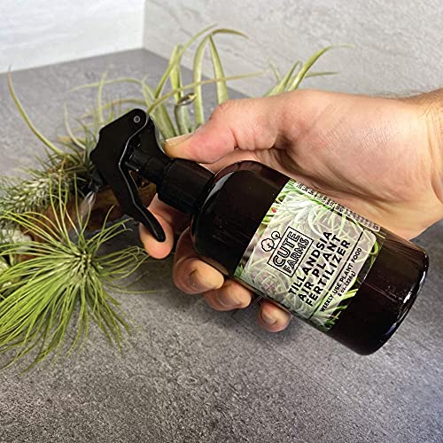 Cute Farms Tillandsia Air Plant Fertilizer | Gentle Weekly Use Formula Plant Food with Care Guide | Formulated Nutrients for Air Plants (8 oz. Spray Bottle)