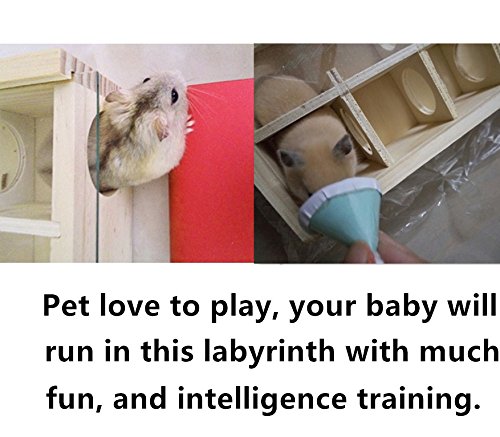 Hypeety Wooden Maze Tunnel Toy with Glass Cover, Small Pet Animals Activity Sport Gerbil Labyrinth Dwarf Hamster Play Toys Maze Tunnel Mice Wooden Funny Toy