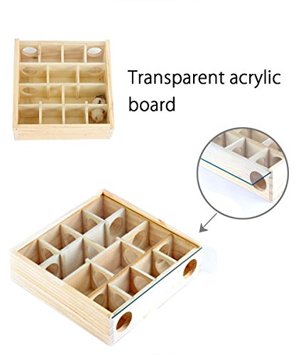 Hypeety Wooden Maze Tunnel Toy with Glass Cover, Small Pet Animals Activity Sport Gerbil Labyrinth Dwarf Hamster Play Toys Maze Tunnel Mice Wooden Funny Toy