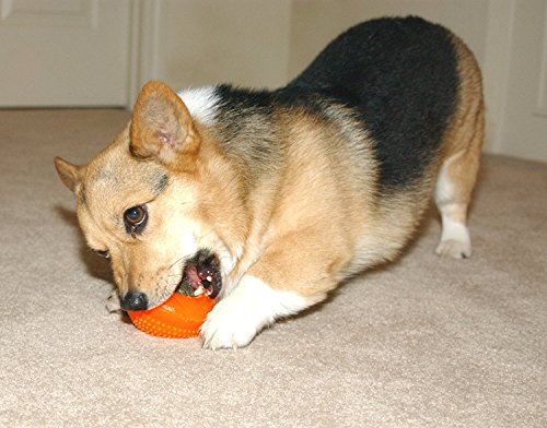 StarMark 2 Pack of Everlasting Treat Bento Balls, Small, Puzzle Toys for Dogs Under 15 Pounds