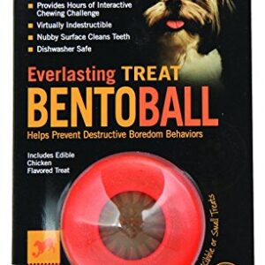 StarMark 2 Pack of Everlasting Treat Bento Balls, Small, Puzzle Toys for Dogs Under 15 Pounds