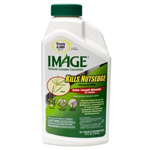 image 100099405 kills nutsedge concentrate, 24 ounce