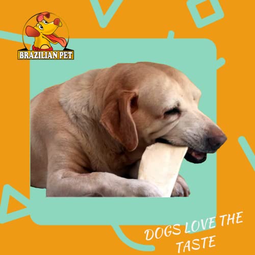 Premium Thick Cut Chips, Top Rawhide (Last Much Longer Than Traditional Chips). 100% Natural. Great Behavioral Dog Chew Treat Solution Bone. No Preservatives. (5 Pounds)