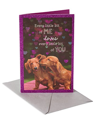 American Greetings Romantic Birthday Card (Dachshunds)