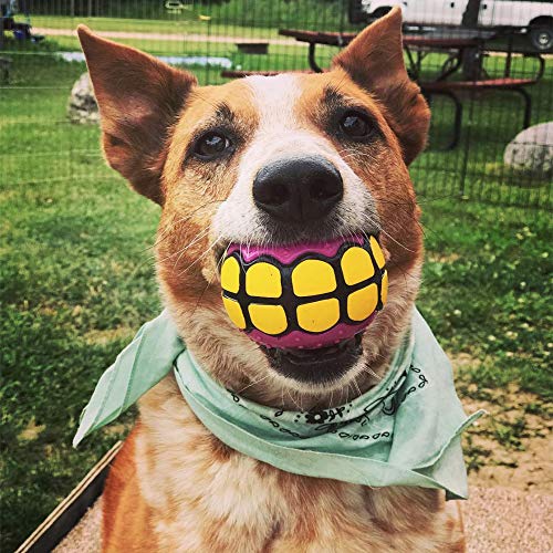 Dawg Grillz Dog Balls Toys Squeaky Fetch - Rubber Funny Ball Gifts for Large Medium Dogs (Variety Pack)