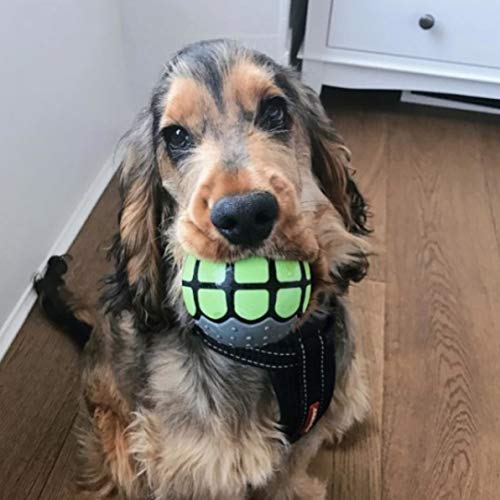 Dawg Grillz Dog Balls Toys Squeaky Fetch - Rubber Funny Ball Gifts for Large Medium Dogs (Variety Pack)