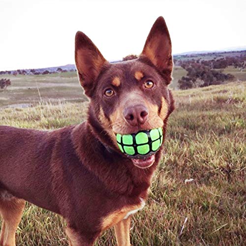 Dawg Grillz Dog Balls Toys Squeaky Fetch - Rubber Funny Ball Gifts for Large Medium Dogs (Variety Pack)