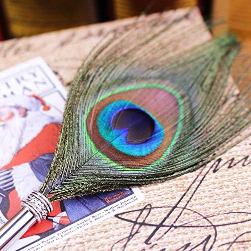 Peacock Feather Quill Pen Calligraphy Writing Dip Pen with Ink for Kids Friends, Write Smoothly, Birthday Wedding Gift Set