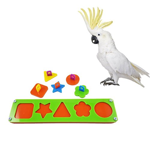 Hypeety Bird Intelligence Training Toy Puzzle Building Blocks for Parrot Macaw African Greys Budgies Parakeet Cockatiel Conure Amazon Cage Toy