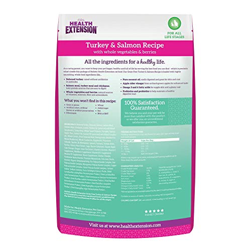 Health Extension Dry Cat Food, Natural Food with Added Vitamins & Minerals, Suitable for All Kittens & Adult Cats, Turkey & Salmon Recipe with Whole Vegetable & Berries (1 Pound / 0.4 kg)