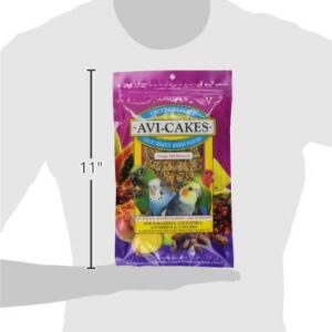 (3 Pack) Lafeber Company 8-Ounce Lafeber Avi-Cakes Fruit Delight for Hookbills