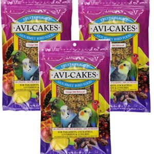 (3 Pack) Lafeber Company 8-Ounce Lafeber Avi-Cakes Fruit Delight for Hookbills