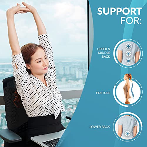 MODVEL Lumbar Support Pillow for Office Desk Chair - Memory Foam Back Cushion (MV-101)