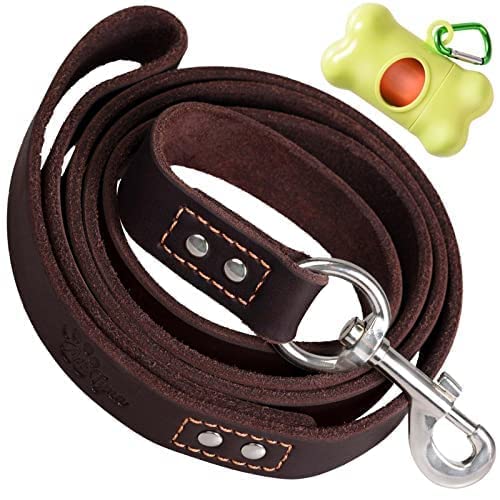 ADITYNA Leather Dog Leash 6 ft x 3/4 inch - Soft and Strong Leather Leash for Large and Medium Dog Breeds - Heavy Duty Dog Training Leash (Brown)