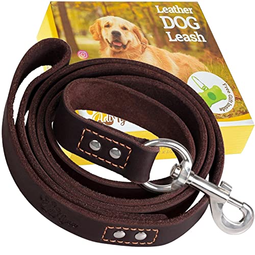 ADITYNA Leather Dog Leash 6 ft x 3/4 inch - Soft and Strong Leather Leash for Large and Medium Dog Breeds - Heavy Duty Dog Training Leash (Brown)