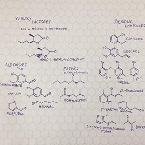 BENZNOTE, Loose Leaf Filler Paper, for Organic and Biochemistry, 8-1/2" x 11", Hexagonal Graph Rule, Green Lined, 3-Hole Punched, 112 Pages