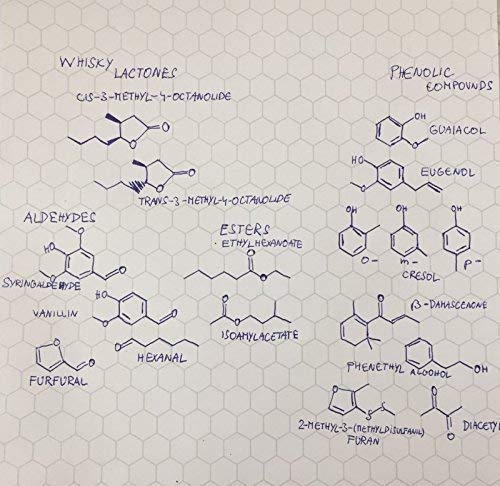 BENZNOTE, Loose Leaf Filler Paper, for Organic and Biochemistry, 8-1/2" x 11", Hexagonal Graph Rule, Green Lined, 3-Hole Punched, 112 Pages