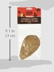 Flukers Catappa Leaves for Hermit Crabs (5 Leaves Per Pack)