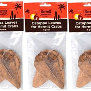 Flukers Catappa Leaves for Hermit Crabs (5 Leaves Per Pack)