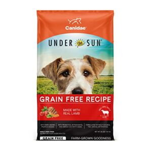 canidae under the sun premium dry dog food for puppies, adults and senior dogs, lamb recipe, 40 pounds, grain free