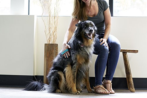 PetWell Massaging Groomer De-Shedding Glove Mitt 2-in-1 Brush Tool for All Size Pets (Dogs, Cats) with Short or Long Hair