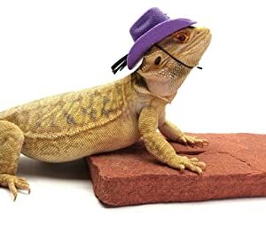 Carolina Designer Dragons' Bearded Dragon Cowboy Hat, Purple