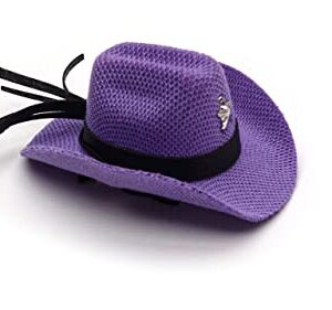 Carolina Designer Dragons' Bearded Dragon Cowboy Hat, Purple