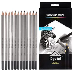 dyvicl professional drawing sketching pencil set - 12 pieces drawing pencils 10b, 8b, 6b, 5b, 4b, 3b, 2b, b, hb, 2h, 4h, 6h graphite pencils for beginners & pro artists