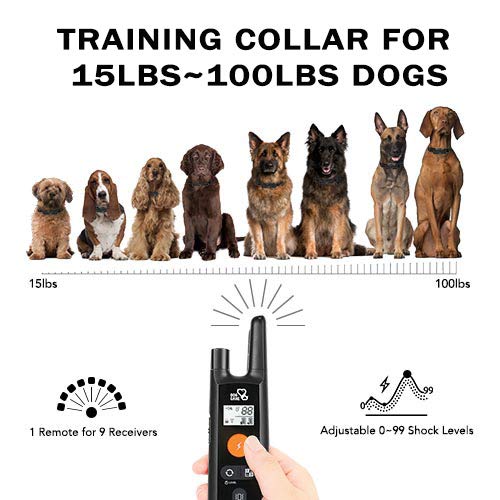 Rechargeable Dog Training Collar with Beep, Vibration and Shock Training Modes, Rainproof, Long Remote Range, Adjustable Shock Levels Shock Collars for Dogs with Remote