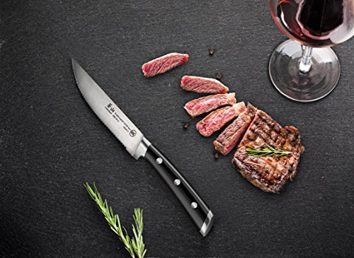 Cangshan TS Series 1020724 Swedish 14C28N Steel Forged 4-Piece Steak Knife Set