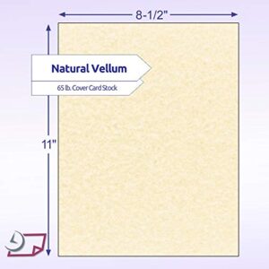 NextParch 8-1/2" x 11" (Letter Size) 65 lb. Parchment Cover Card Stock (Natural)