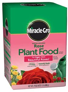 miracle-gro water soluble rose plant food, 1.5 lb