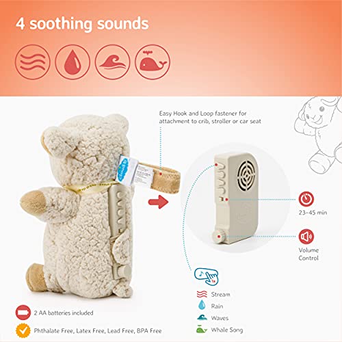 Cloud b Travel Soothing Sound Machine | Cuddly Stuffed Animal | 4 White Noise | Auto-Shutoff | Travel Sleep Sheep on the Go