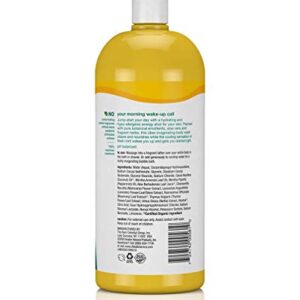 Alba Botanica Very Emollient Bath & Shower Gel, Sparkling Mint, 32 Oz (Packaging May Vary)