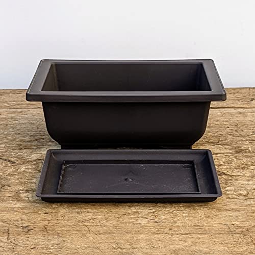 Bonsai Outlet Training Pots with Humidity Trays - Built in Mesh, Six Inch Large Planters + Made from Durable Shatter Proof Poly-Resin, Set of 3 Pot Set…